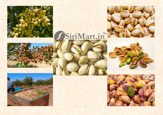 SiriMart Iranian Pistachio without shell (Plain Pista) - SiriMart